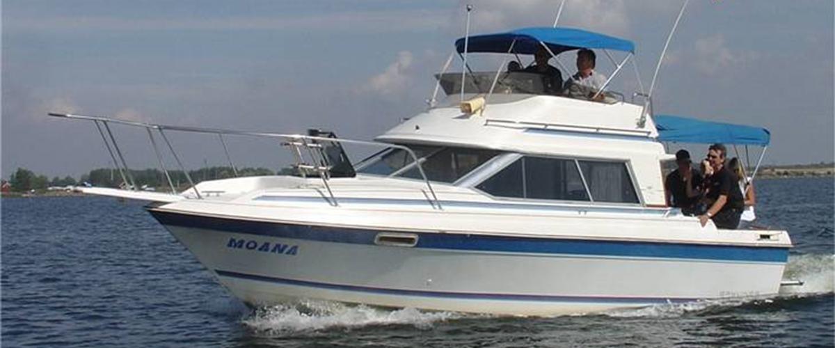 Bayliner 2556 fly - 1987 - Flot og velholdt familie/tur/...