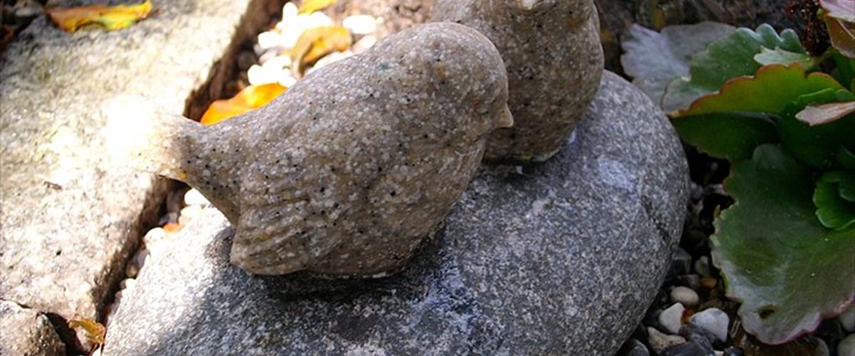 Steen R.i.P! - Off Topic - Uploadet af Anonym pige