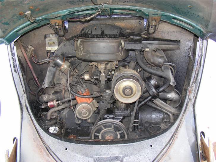 RAT-BUG - Type 1 - Diverse bil - Fotos fra Brian w