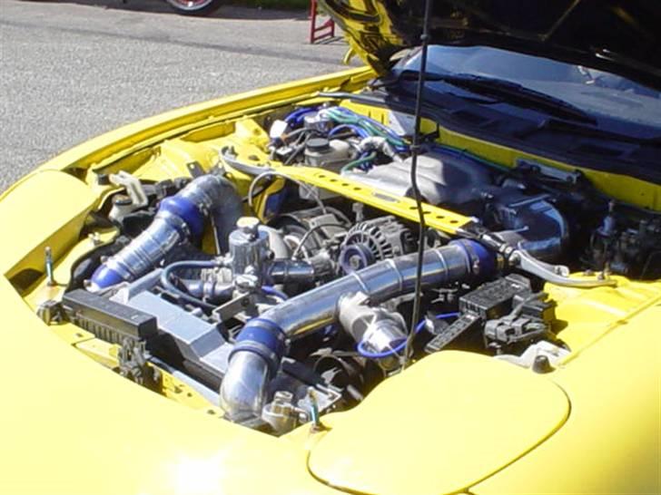 Fede biler og lækre damer - Udstillinger og messer - Fotos fra Anders L