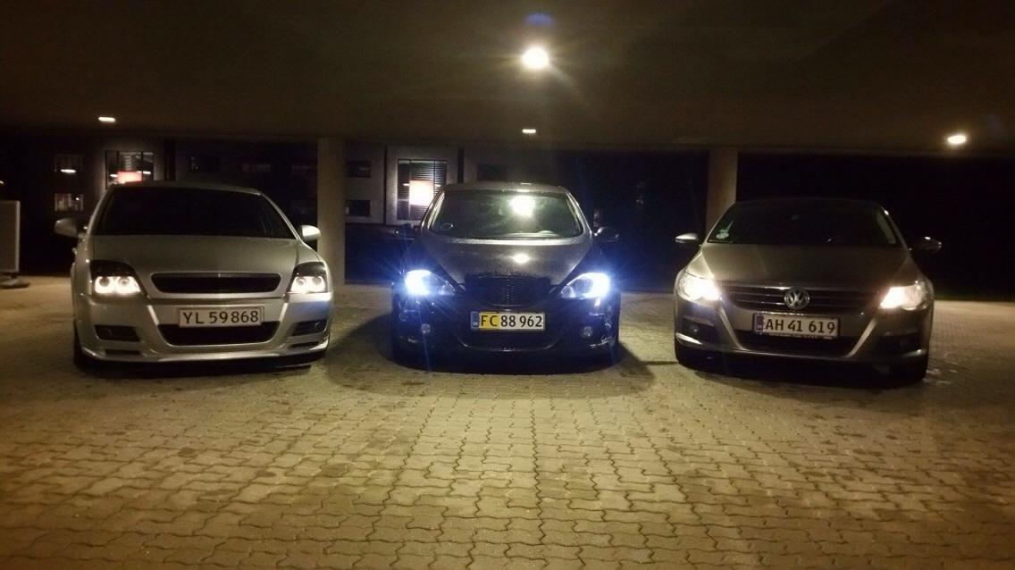 Træf team Bronx - Træf - Fotos fra Dan s