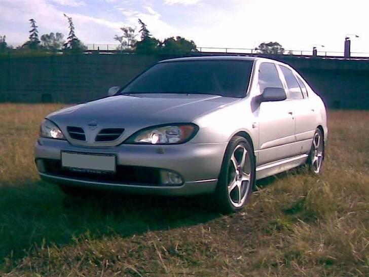 Nissan Primera Sport P11-144 - Billeder af biler - Uploaded af John H