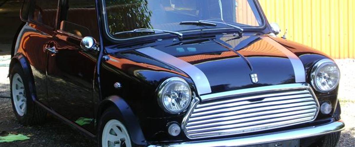 Mini Mascot (UNDER RESTAURERING IGEN) - 1988 - (1.)-> LIDT MINI ...