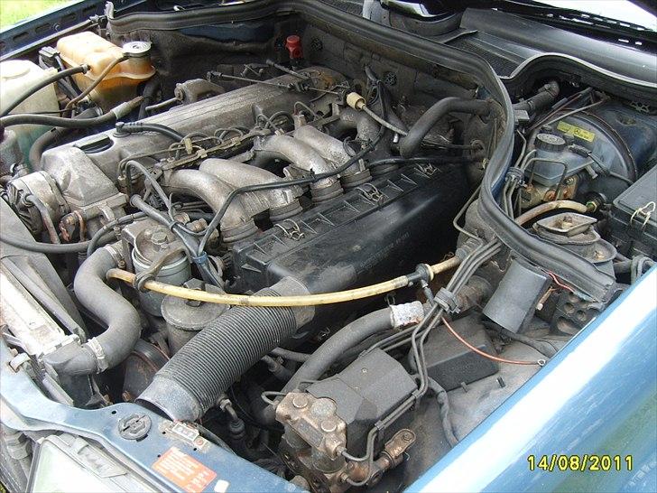 Mercedes Benz 300D W124 - Billeder af biler - Uploaded af Michael R