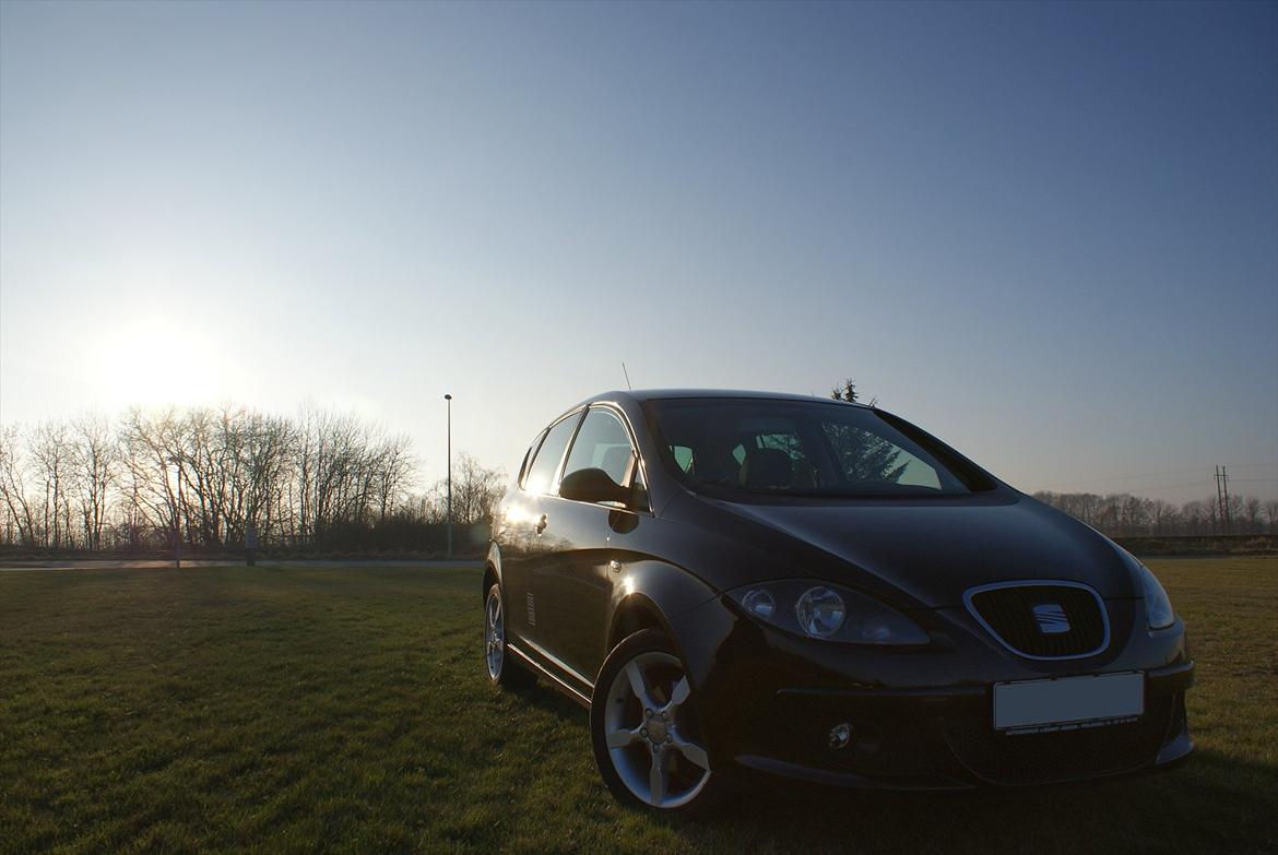 Seat ALTEA 1.9 TDi 105 STYLANCE VAN *SOLGT* - Billeder af biler ...