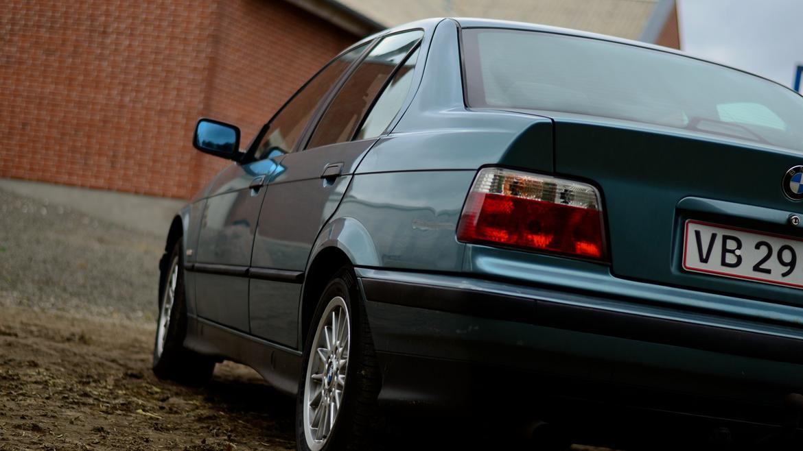 BMW E36 316i Bavaria - Billeder af biler - Uploaded af Holbech