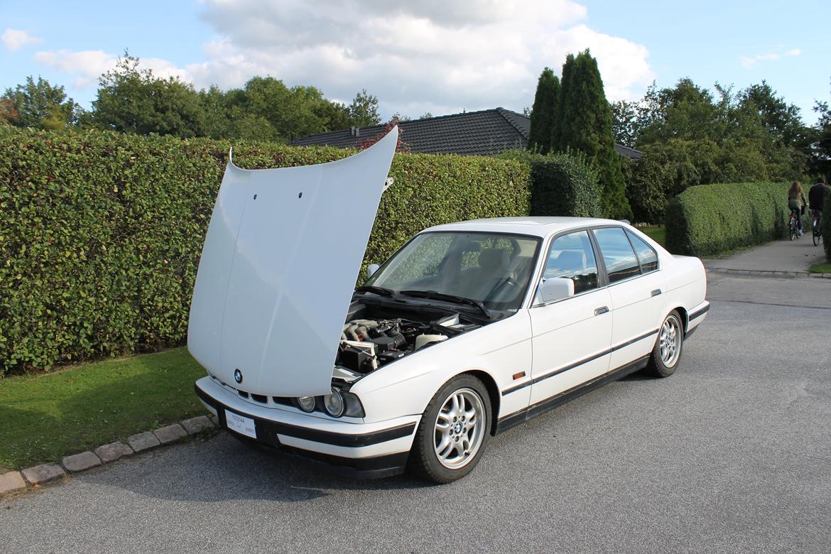 BMW E34 520I - Billeder af biler - Uploaded af ///Emil P -BMW