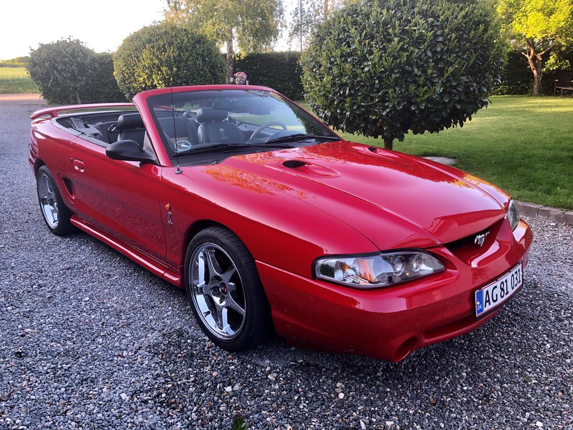 Ford Mustang SVT Cobra Convertible - Billeder af biler - Uploaded af Ford M