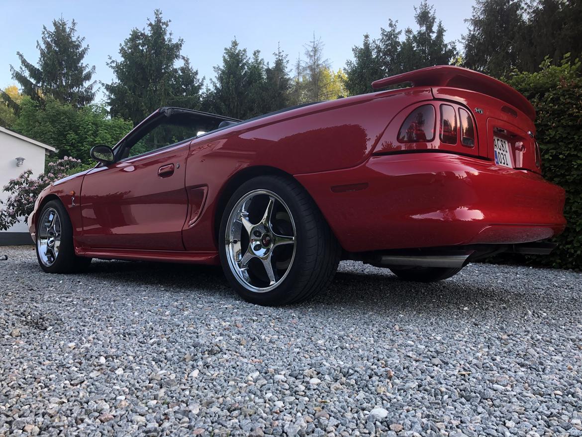 Ford Mustang SVT Cobra Convertible - Billeder af biler - Uploaded af Ford M