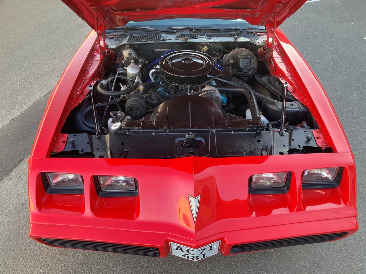 Pontiac Firebird 301 V8 - Billeder af biler - Uploaded af Nick Grabow