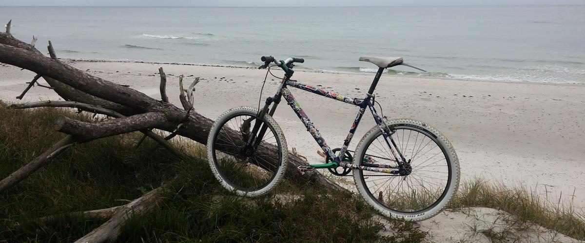 single speed mtb - Diverse cykel - Uploadet af ViGGo JUHL