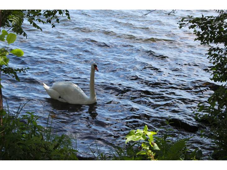 Lidt Random Billeder - Off Topic - Uploadet af rasmus Q