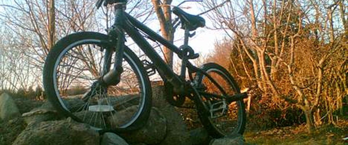 Diamondback Freestyle - BMX Freestyle - Der er i god stand og den er ...