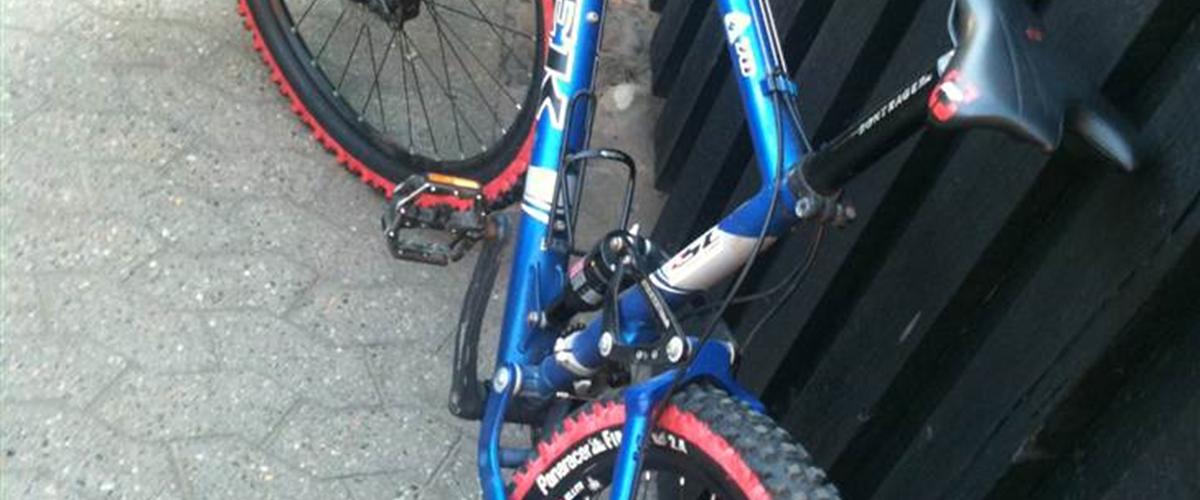 Trek Fuel 70 - Mountain