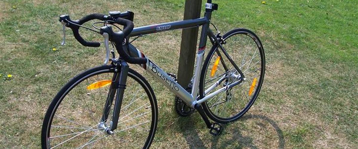 Busetto Gallop - Racer - Giv gerne lige en kommentar