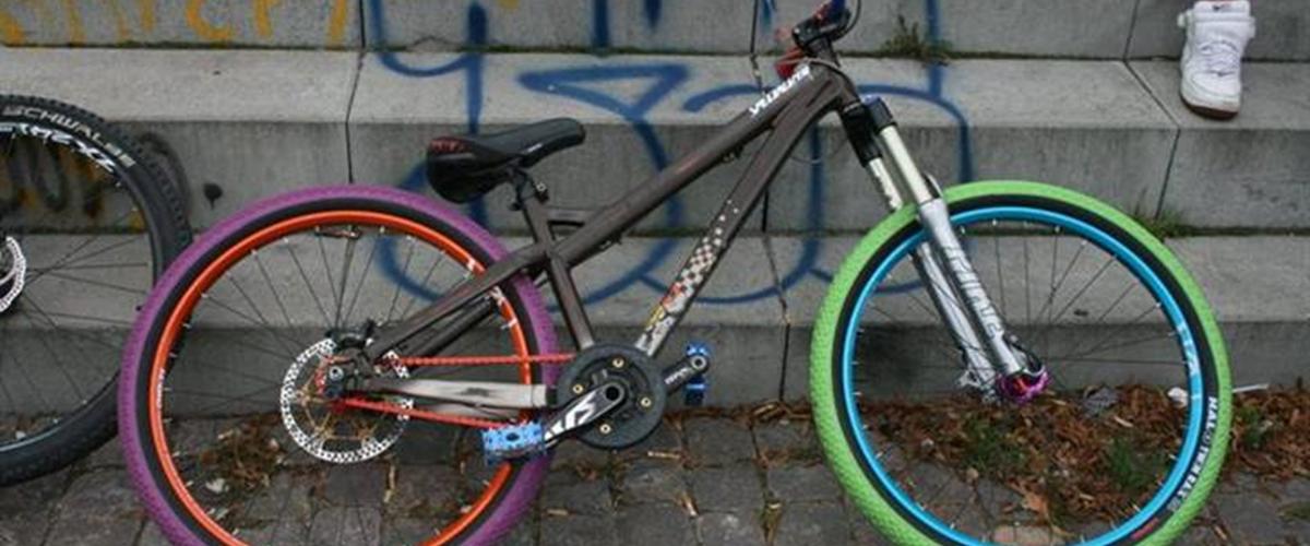 Specialized P2 - Dirtjump