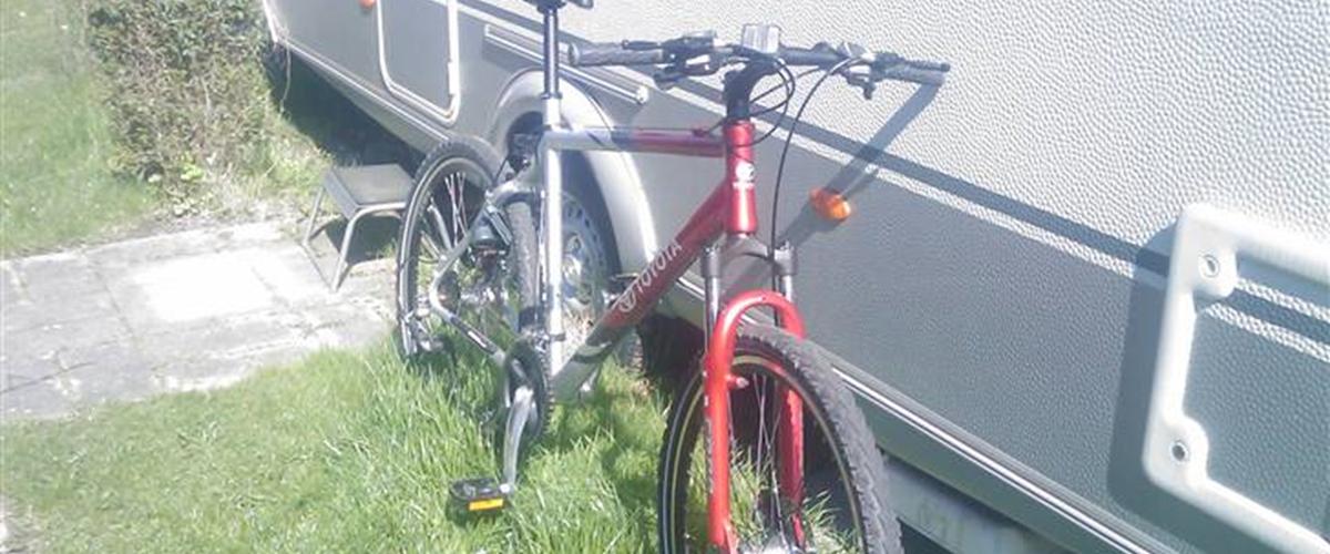 Toyota Mountain bike - Mountain - Vægt: 14,6kg Pris: 4495kr K...