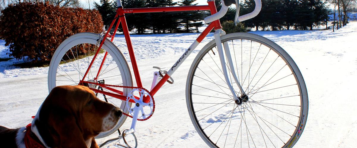 Centurion fixie - - Cyklen har jeg selv omlakeret...