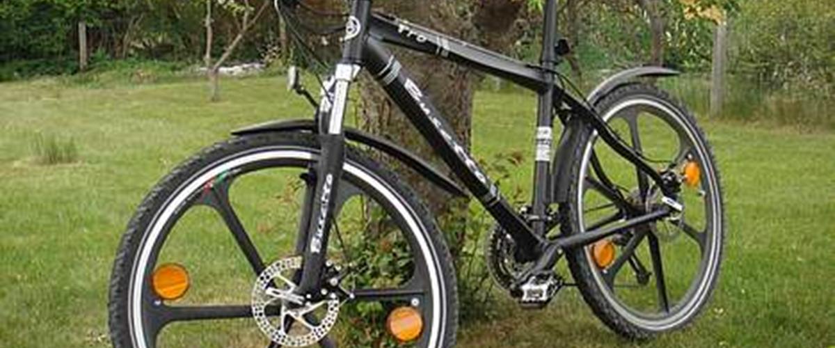 Busetto Pro - Mountain