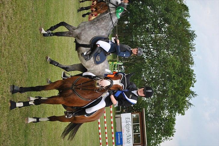 Danmarks cup 2011 - Spring - Hest - Stævner og løb - Fotos fra ...