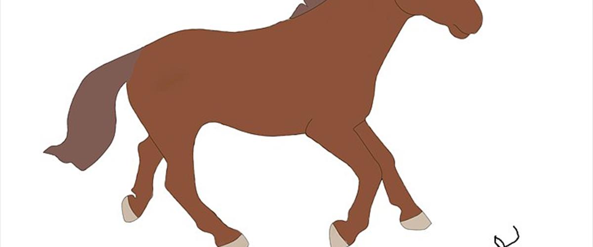 Heste tegnet i painttool sai - Tegninger - Uploadet af Josefine P.