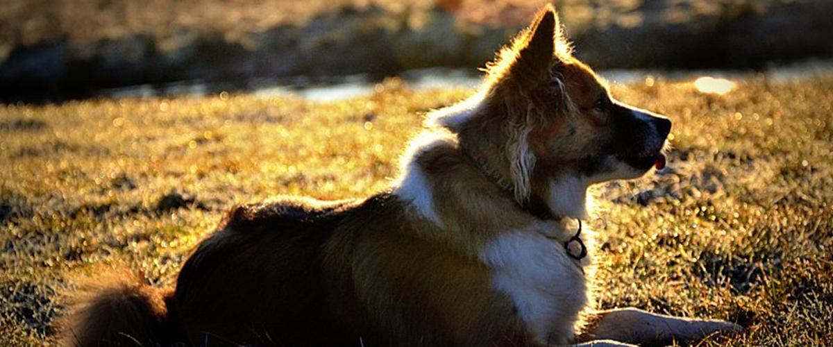 Menja - Off Topic - Uploadet af Maria K