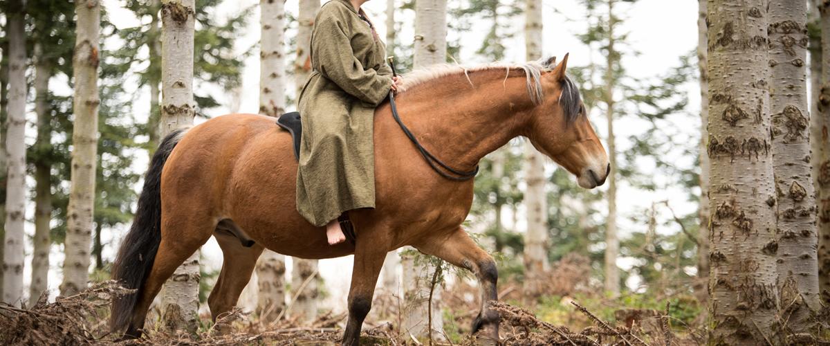 Eventyr i Cordeo - Diverse hest - Uploadet af Freja Photography