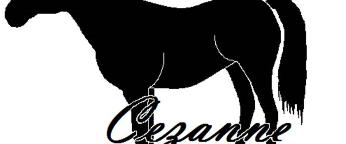 Logo heste - Tegninger - Uploadet af michelle p