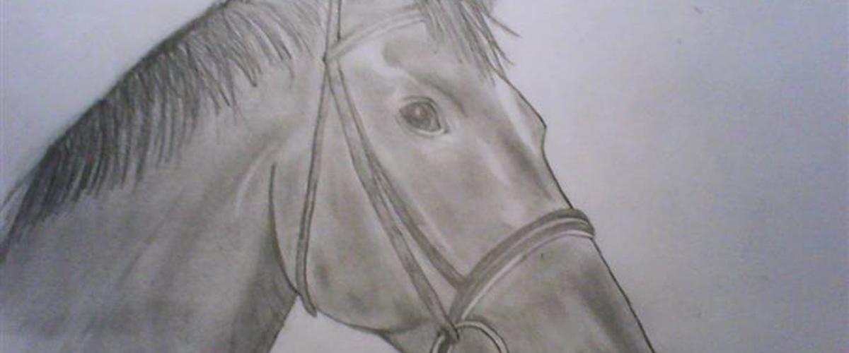 Mine tegninger. - Tegninger - Uploadet af Nina Ovesen