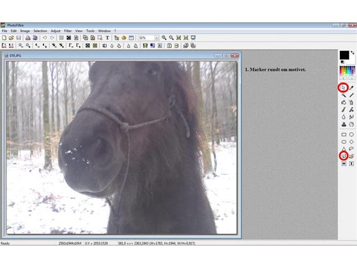 Trin-for-trin, photofiltre metode 1. - Tegninger - Uploadet af EPB ...