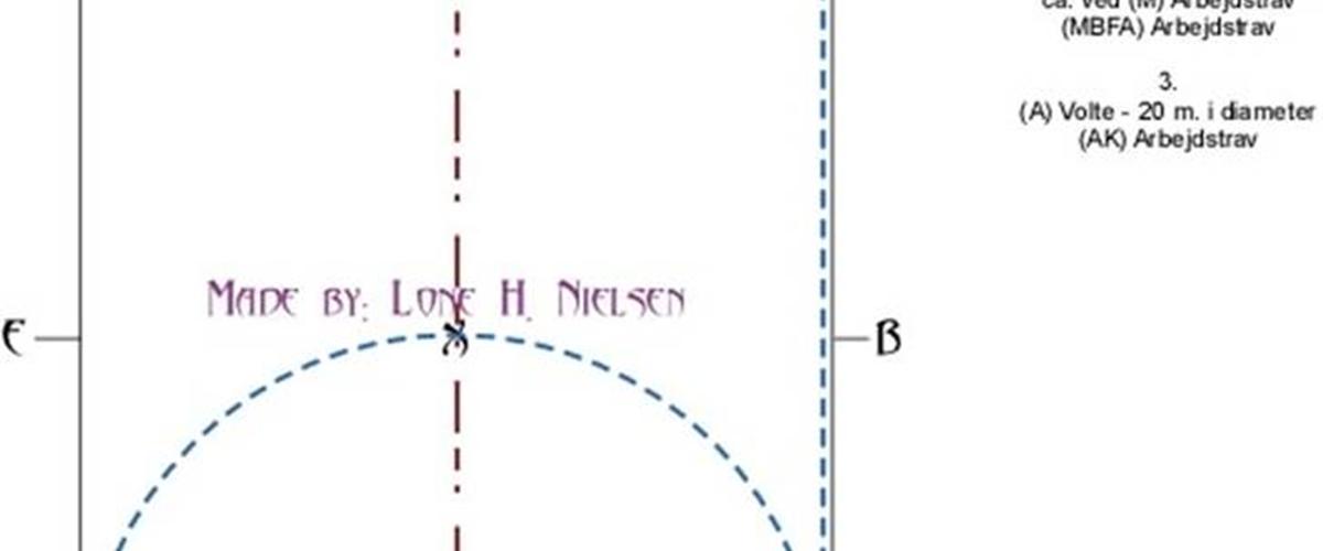 LD1 Dressur for dummies - Diverse hest - Uploadet af Lone Hovkjær N