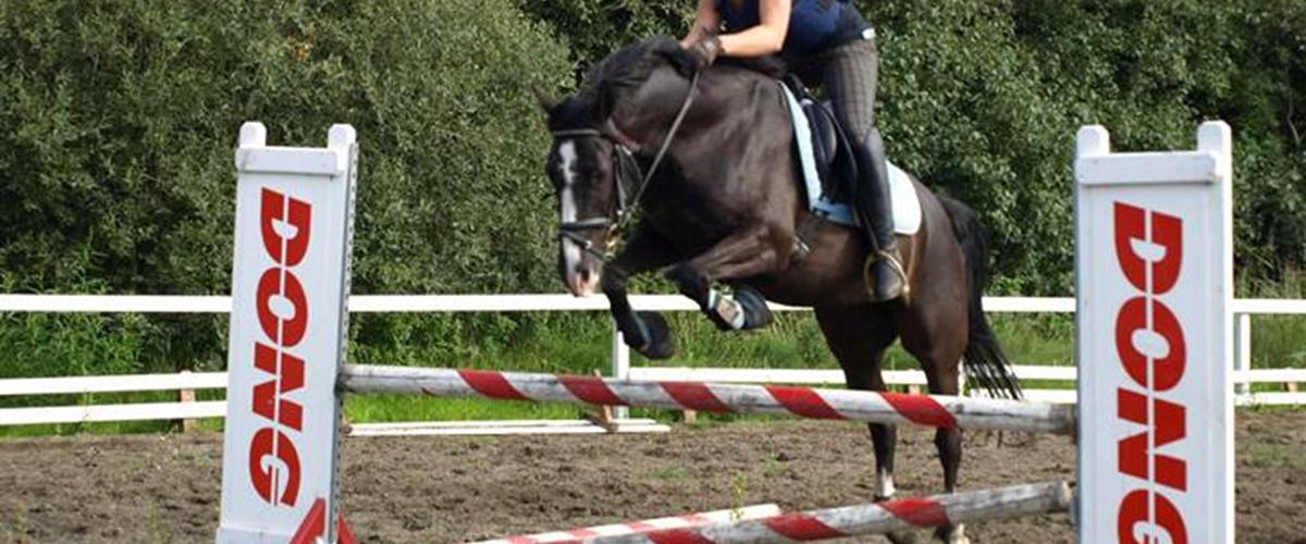 Springtræning Chello - 4. gang han springer. Vi sprang højt xD ...