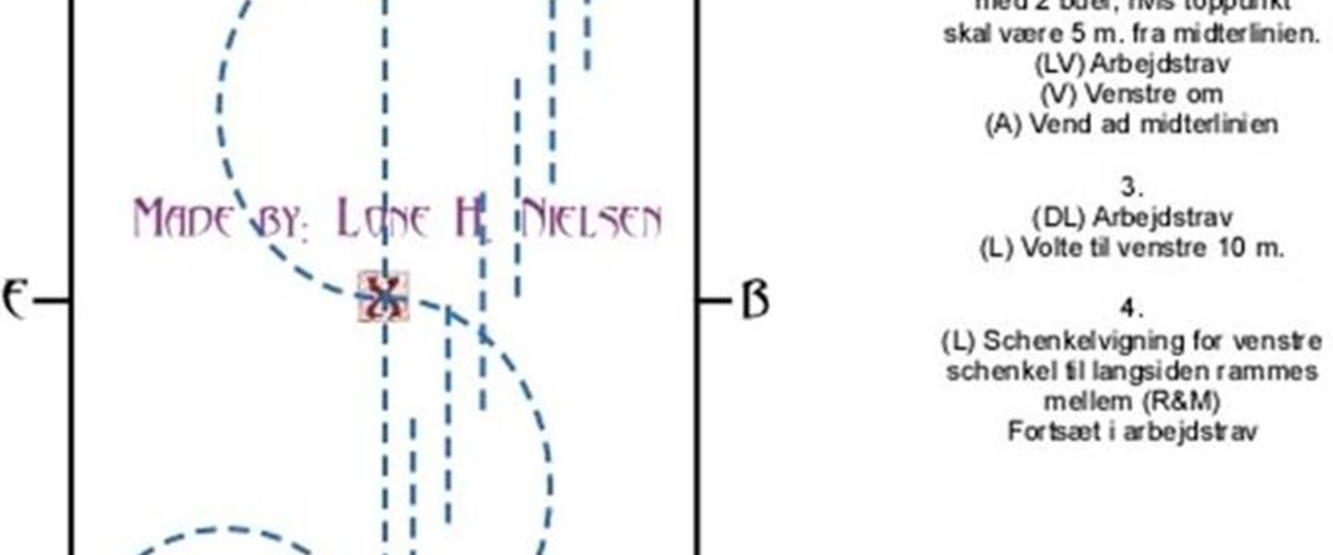 LA2 hest dressur for dummies - Diverse hest - Uploadet af Lone Hovkjær N