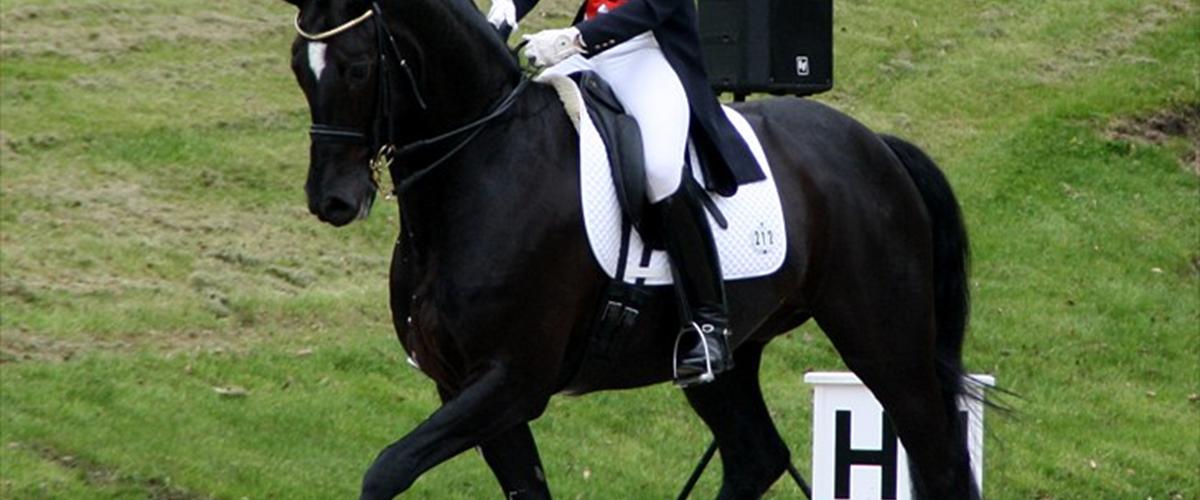 Catrine Dufour og Don Dino - Diverse hest - Uploadet af Sille Engermann