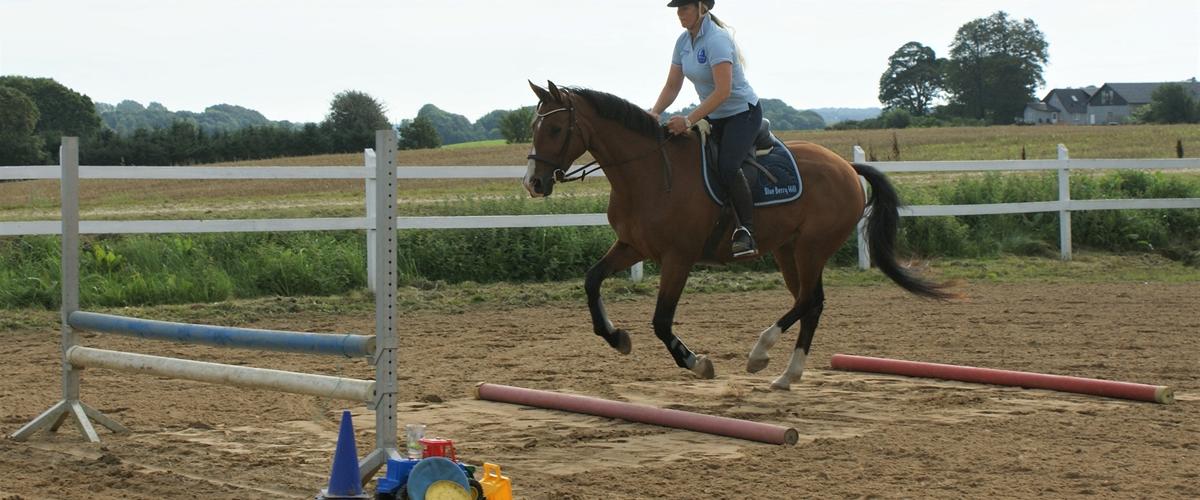 Hjælp springhesten til et kraftigere afsæt