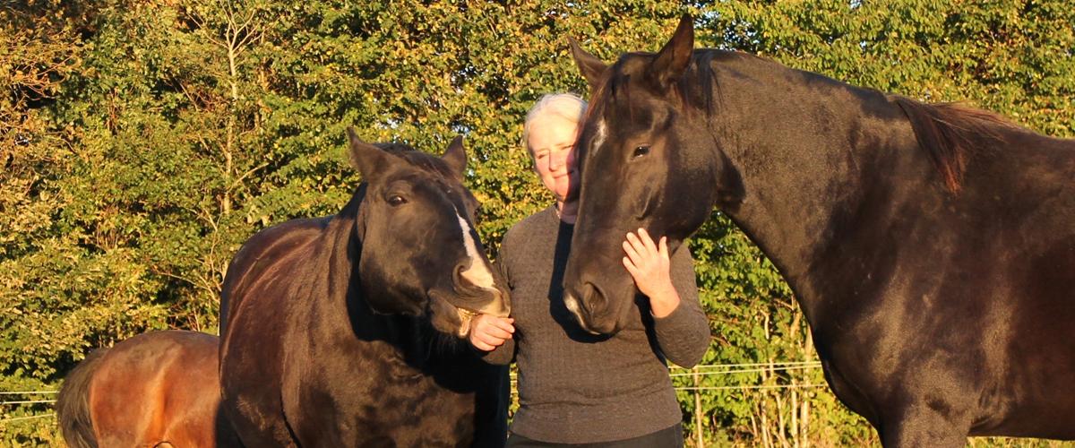 Hvad er dit mål med at have hest eller part?