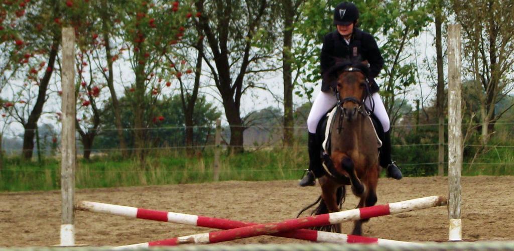 Det første spring stævne