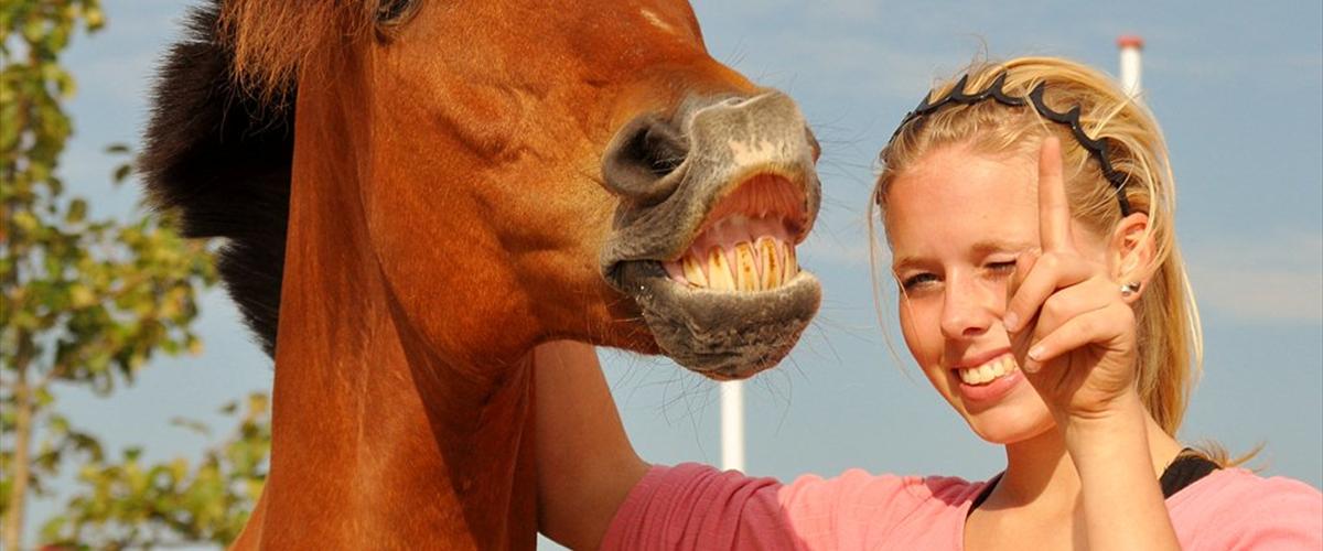 Anden særlig race Flying Star