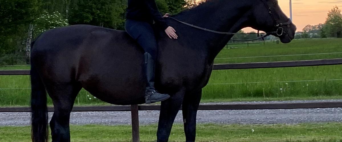 Oldenborg Black Diamond - 2006 - Hun er sød og rar at have med...