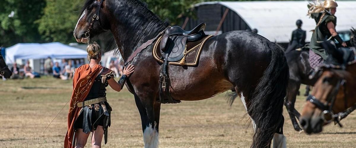 Shire Cumeragh House Double Centurion - 2019 - 19 marts 2020 Centurion ...