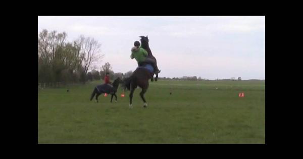 Malle bukker mig af 4 gange + 2 stejl!! /; - Diverse hest - Video ...