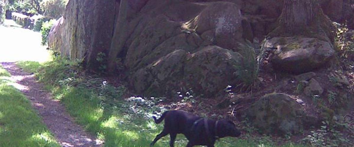 Simbas feriehistorie - Off Topic - Uploadet af LisBeth og Charlotte