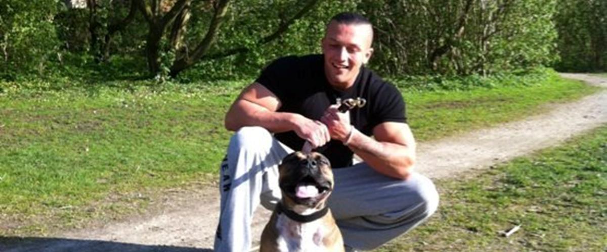 Staffordshire bull terrier RIP Scarlett - 2010 - bliver opdateret snart:)