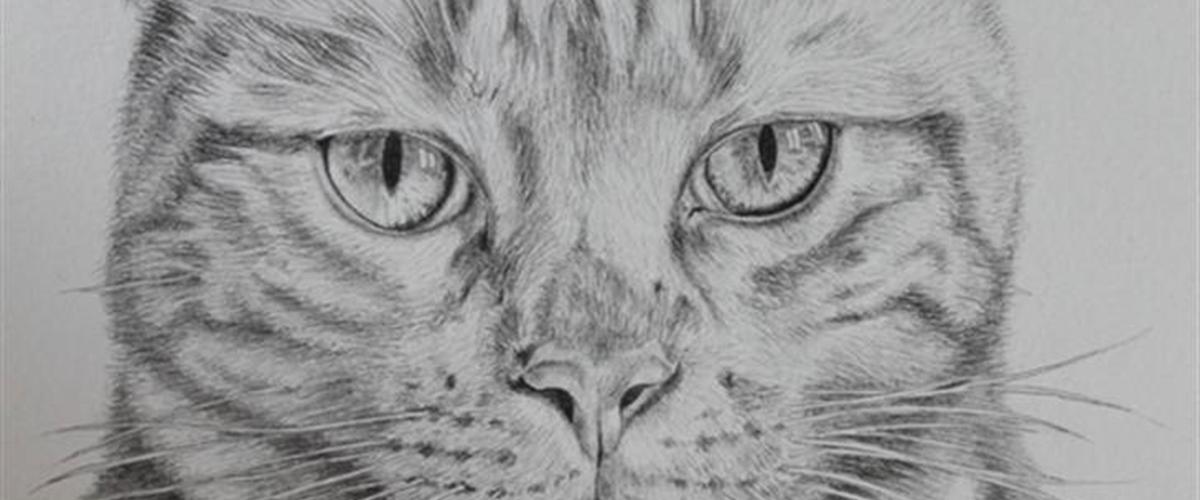 Første kattetegning - Tegninger - Uploadet af Signe B