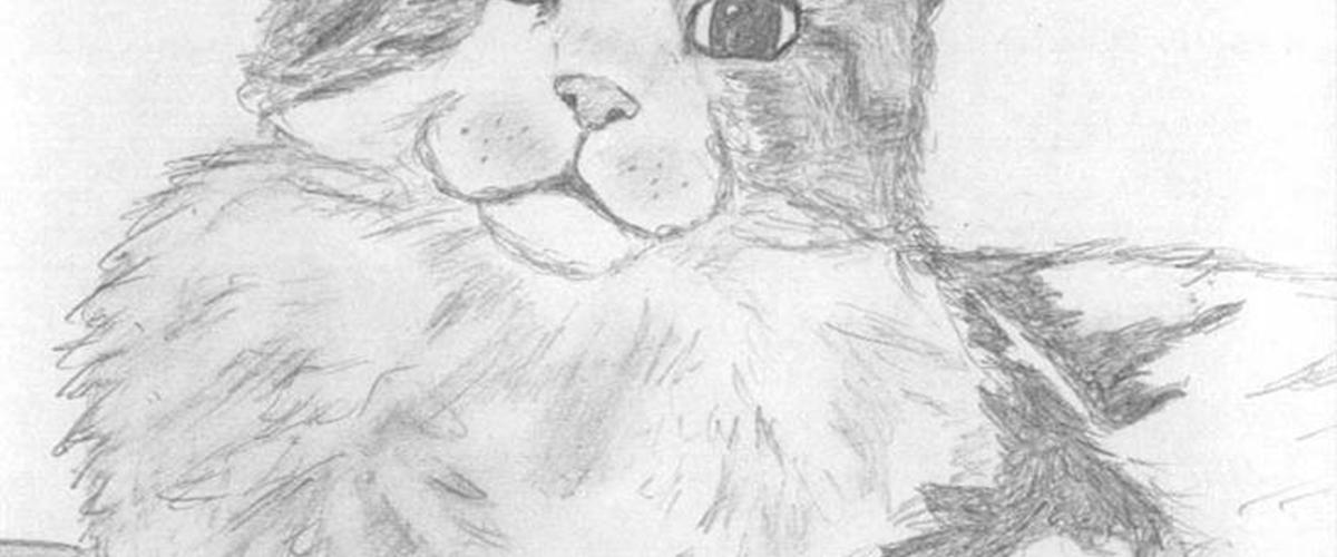 Tegninger - Dyr - Tegninger - Uploadet af Christina S