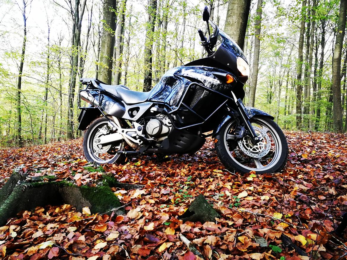 Honda Xl1000 Varadero - Billeder af mc-er - Uploaded af Thomas C ...