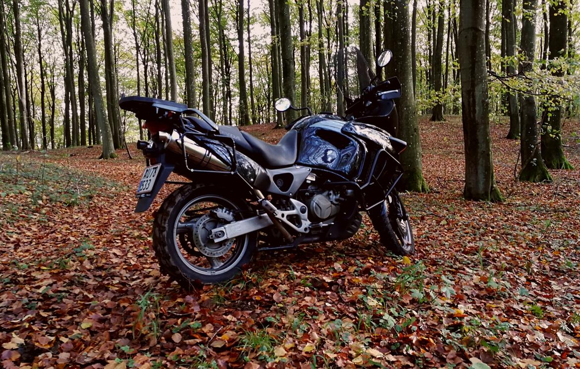 Honda Xl1000 Varadero - Billeder af mc-er - Uploaded af Thomas C ...