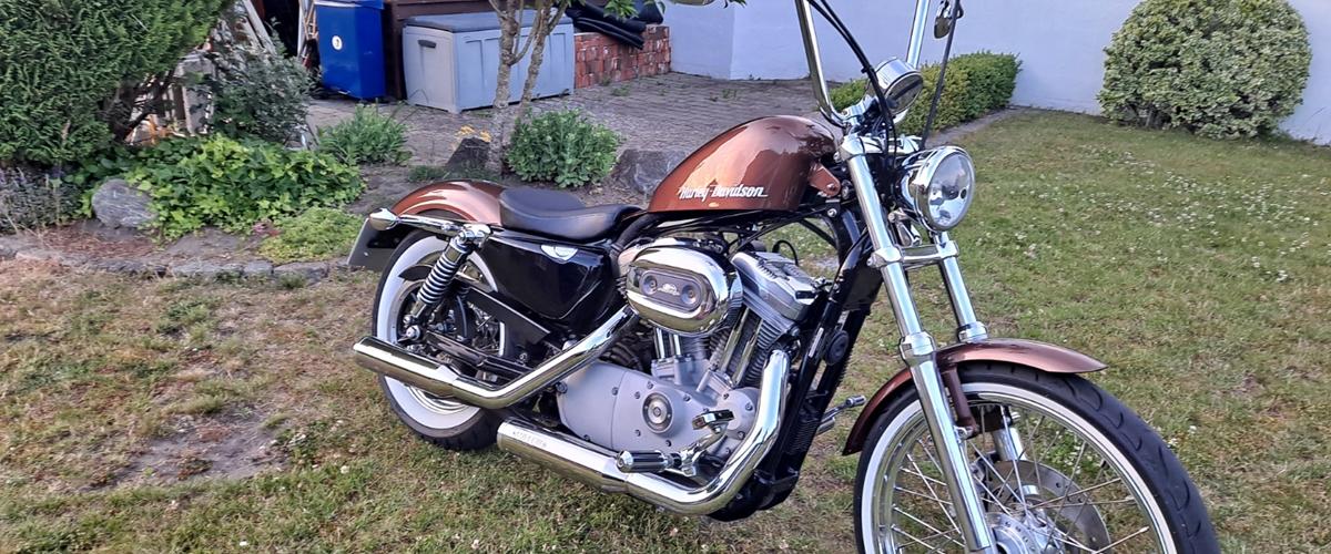 Harley Davidson Sportster 883 - 2008 - De sidste to billeder er som ...