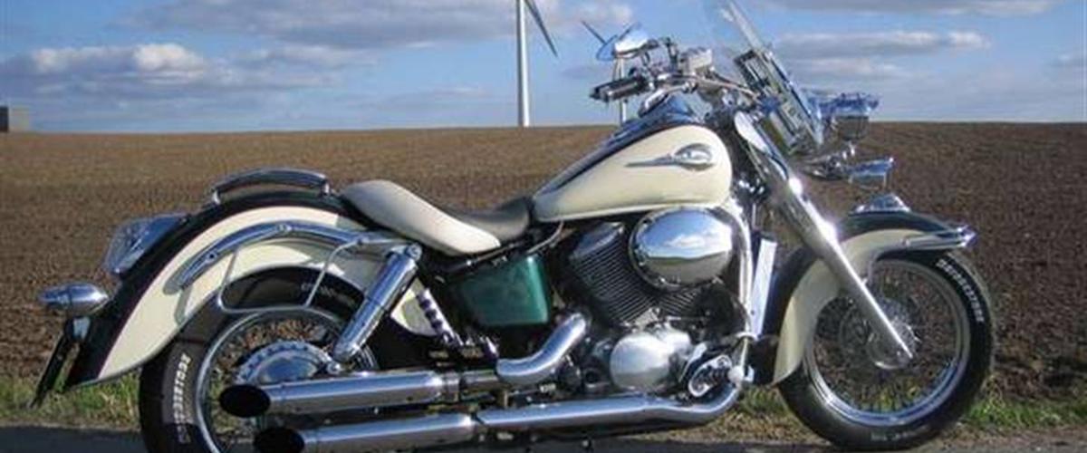 Honda Shadow VT 750 ACE - 1999 - Creme og grøn bemaling Dej...