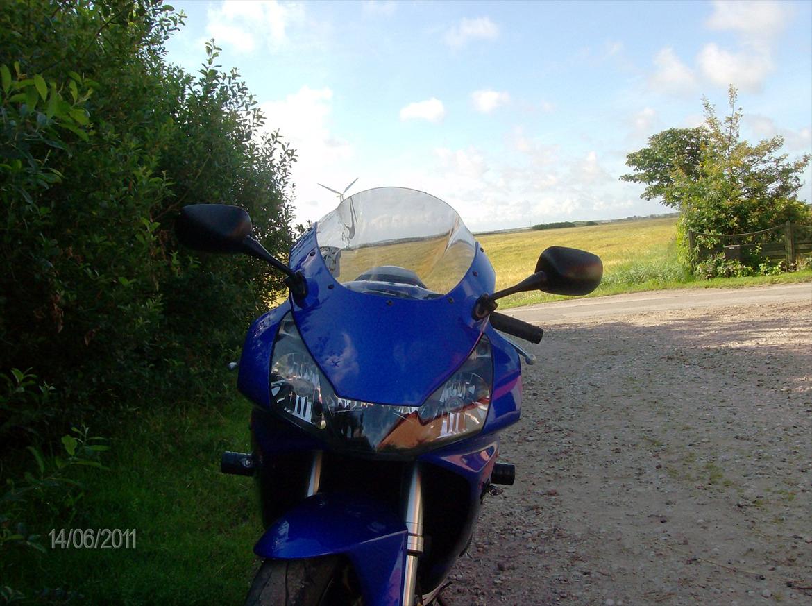 Honda cbr 954 fireblade - Billeder af mc-er - Uploaded af nielspeter c